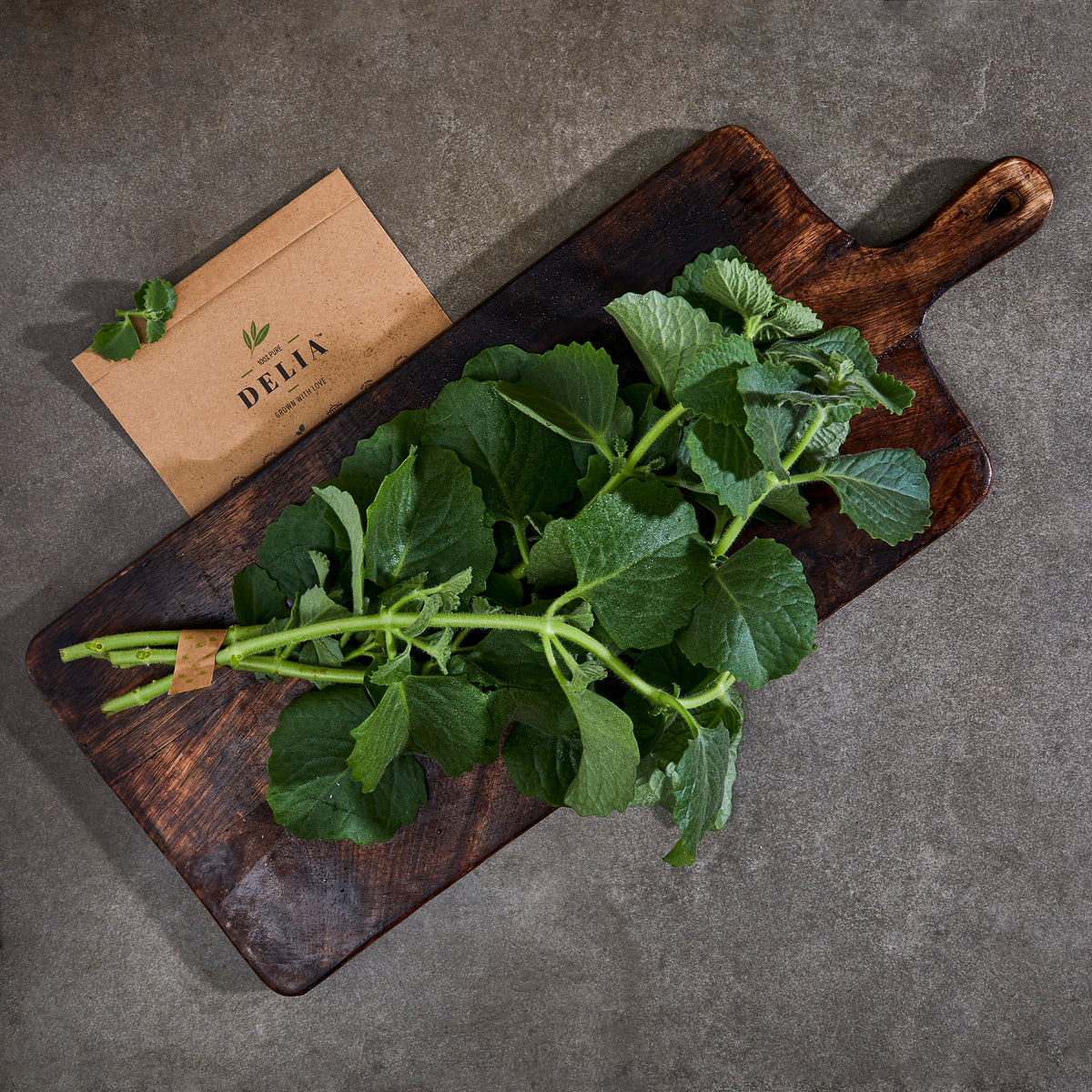 Ajwain Leaf – DELIA